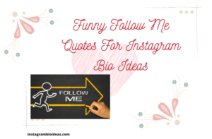 999+ Funny Quotes For Instagram Bio Ideas | Humorous Bio Quote