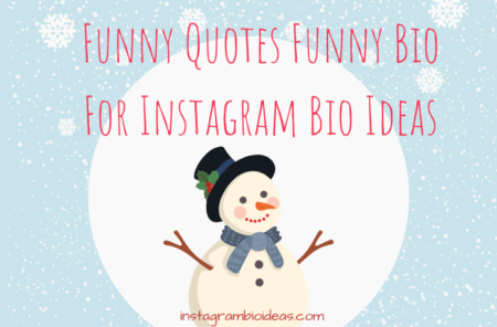 999+ Funny Quotes For Instagram Bio Ideas | Humorous Bio Quote